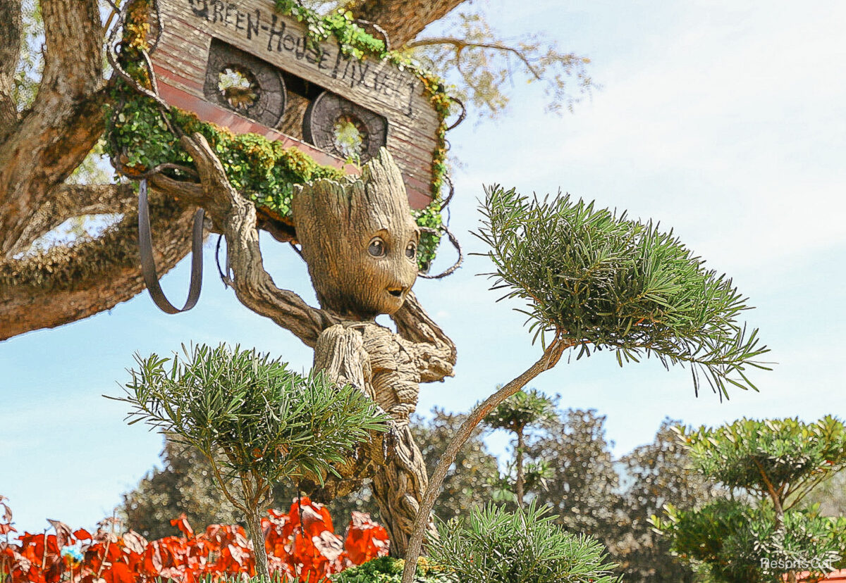 Young Groot Character Topiary Debuts at Epcot (Photos and Location)