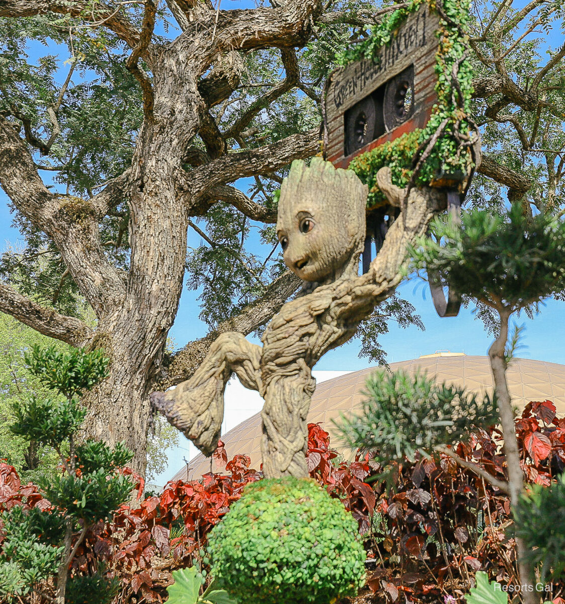 Young Groot Character Topiary Debuts at Epcot (Photos and Location)