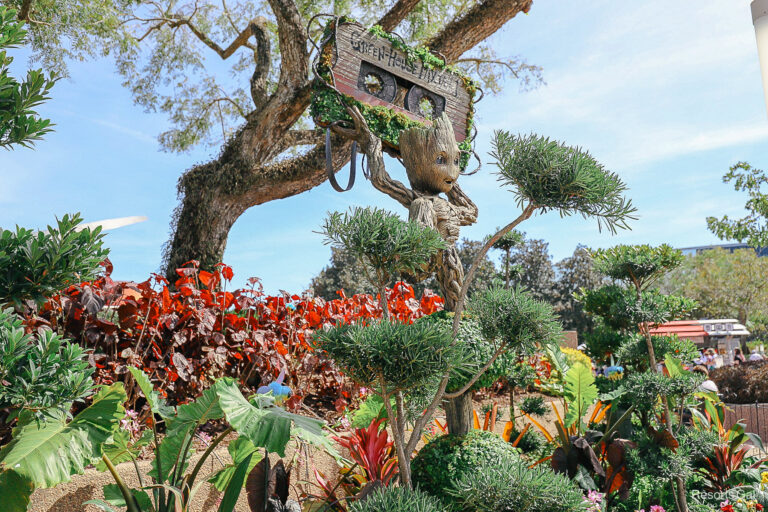 Young Groot Character Topiary Debuts at Epcot (Photos and Location)