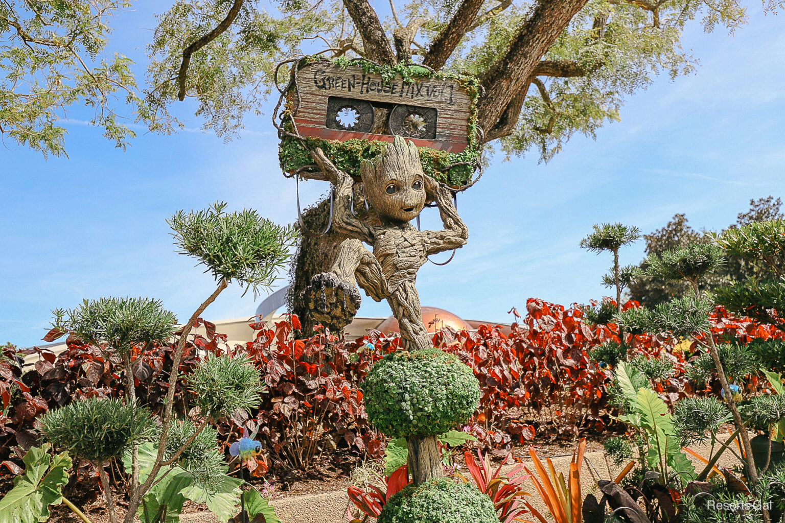 Young Groot Character Topiary Debuts at Epcot (Photos and Location)