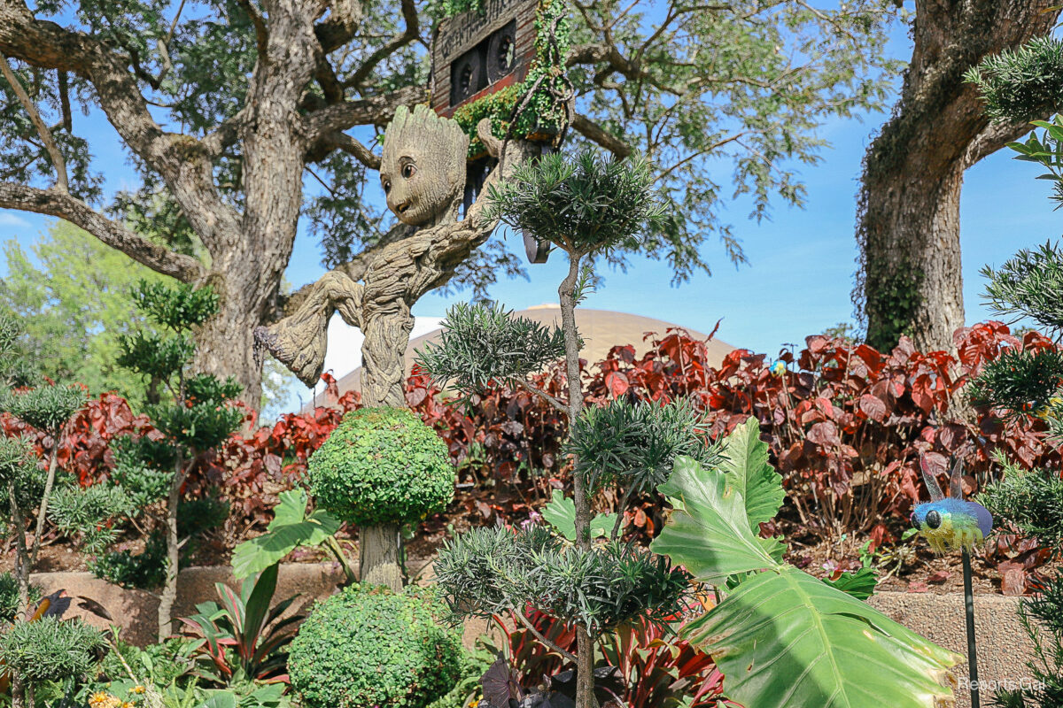 Young Groot Character Topiary Debuts at Epcot (Photos and Location)